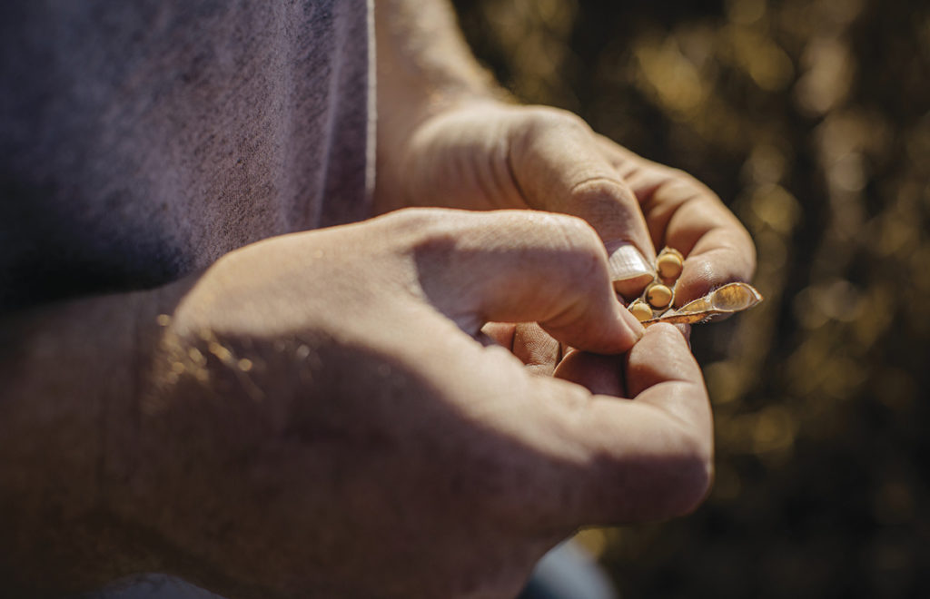 About Us – Ag Processing Inc