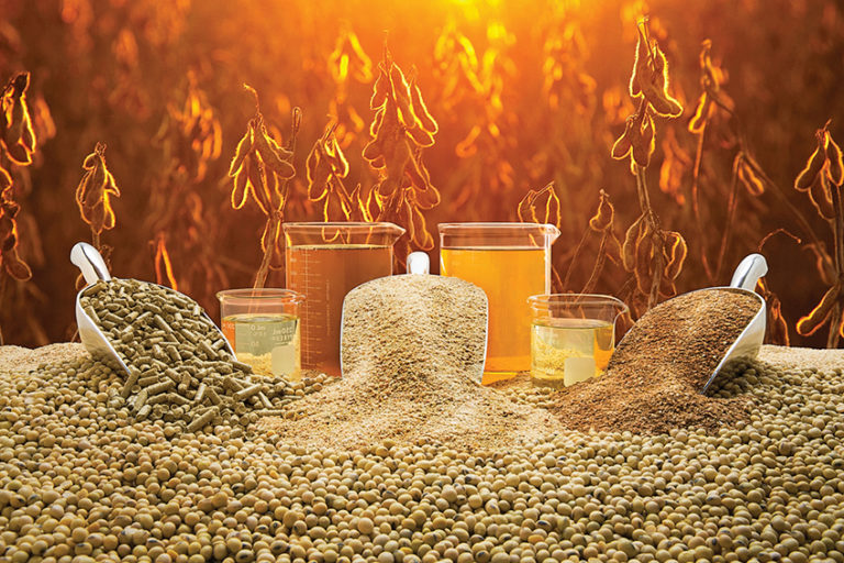 Ag Processing Inc – Ag Processing Inc (AGP®) is a leading agribusiness ...